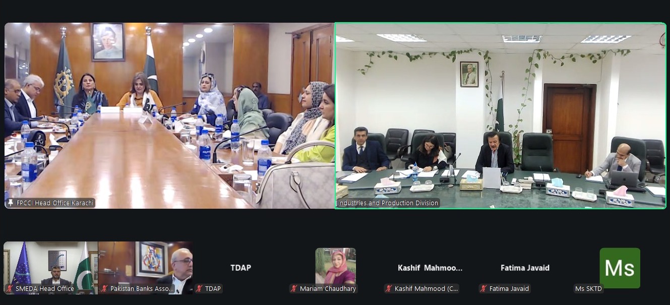 SAPM PROMISES TO SOLVE ISSUES OF SINDH'S WOMEN ENTERPRENEURS